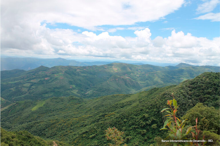 Parque Nacional y Área Natural de Manejo Integrado Amboró - Camino de ...